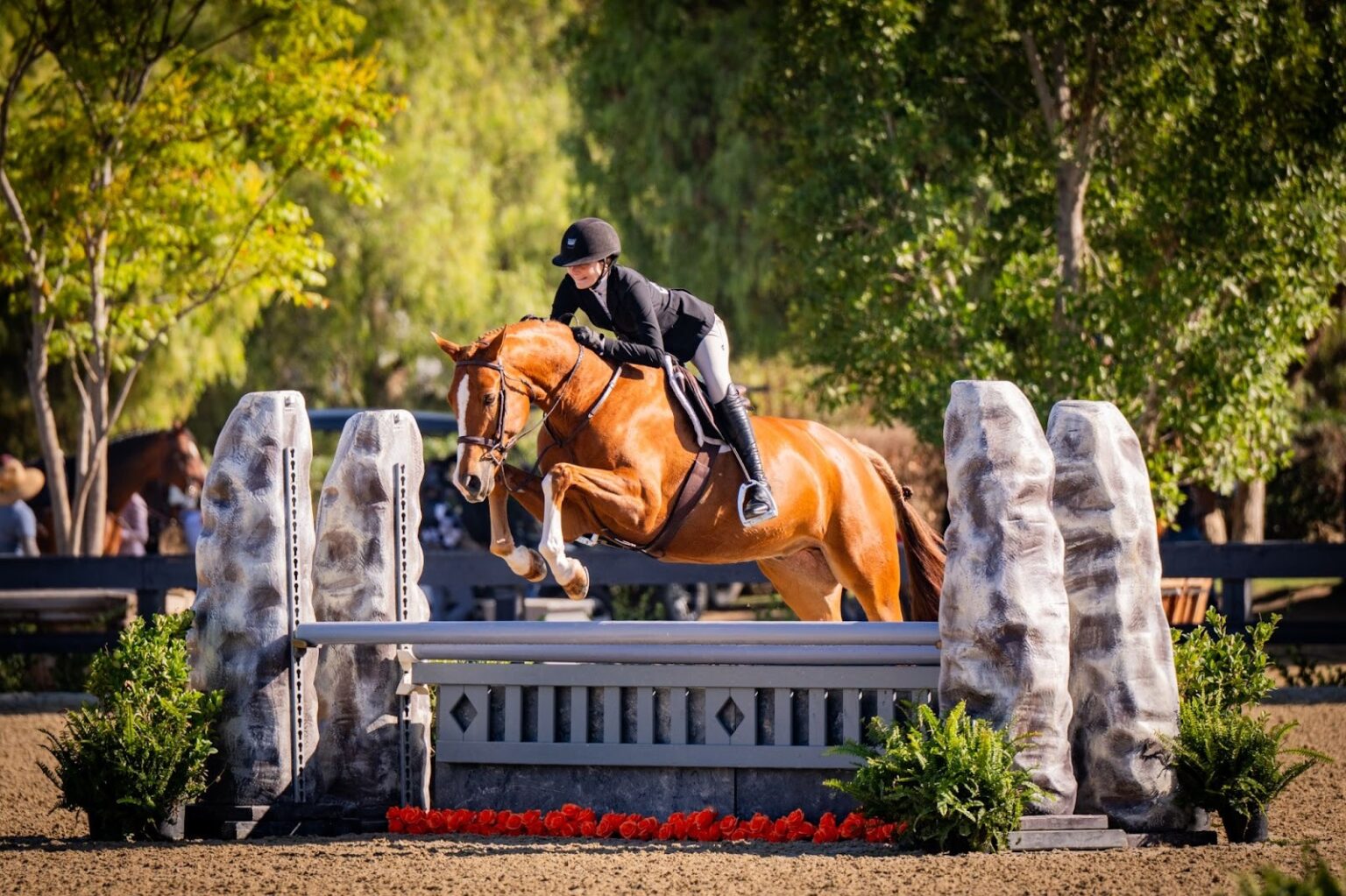 Future Faces of the Equestrian Sport | Laurel Springs
